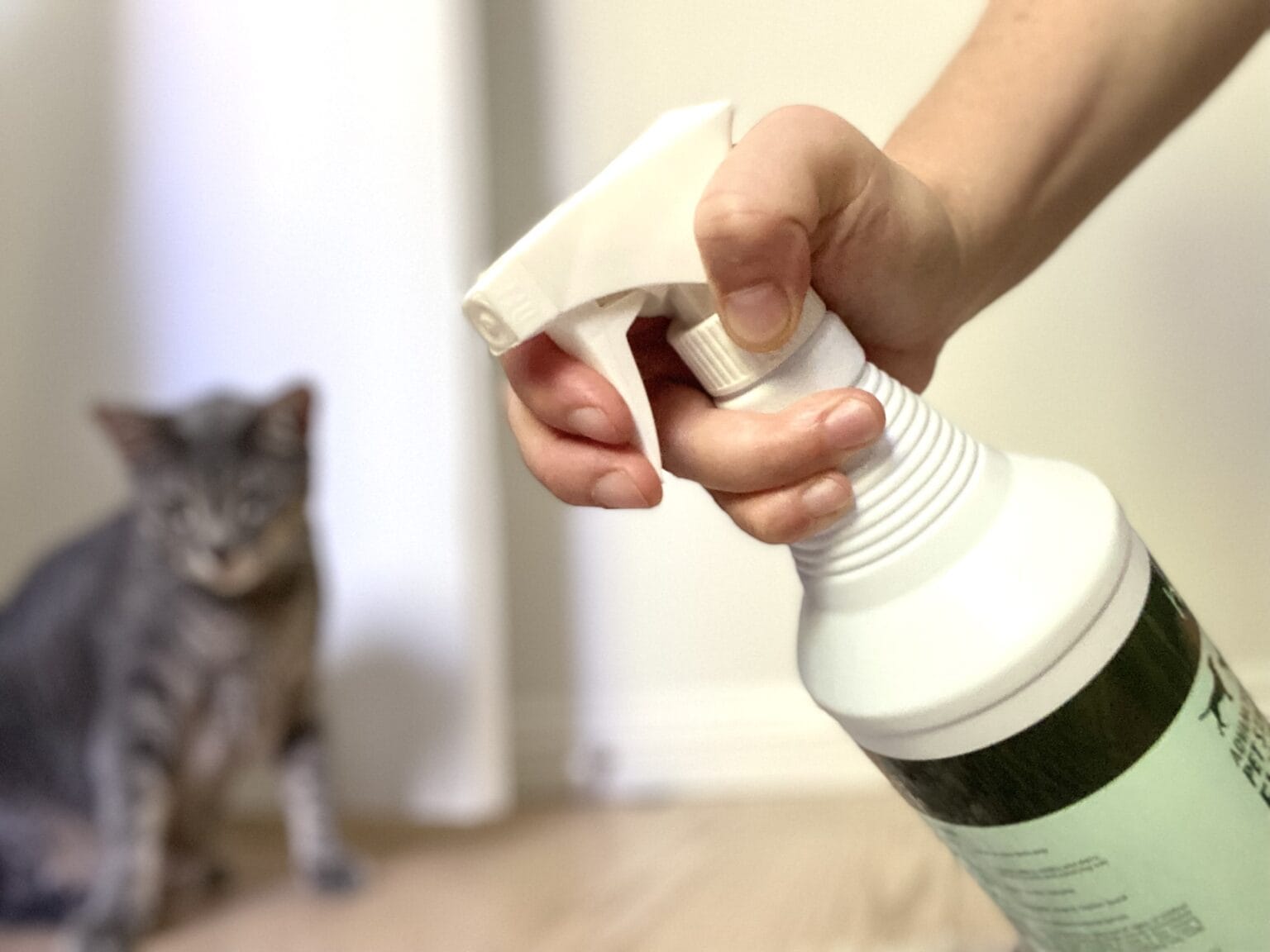 11 Best Pet Odor Eliminators in 2026 - Reviews & Top Picks | Hepper Pet ...