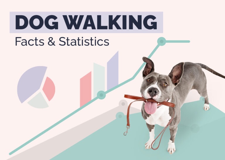 12 Dog Walking Statistics & Facts to Know (2026 Update) | Hepper Pet ...