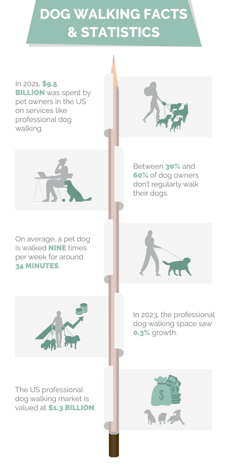 12 Dog Walking Statistics & Facts to Know (2025 Update) | Hepper Pet ...