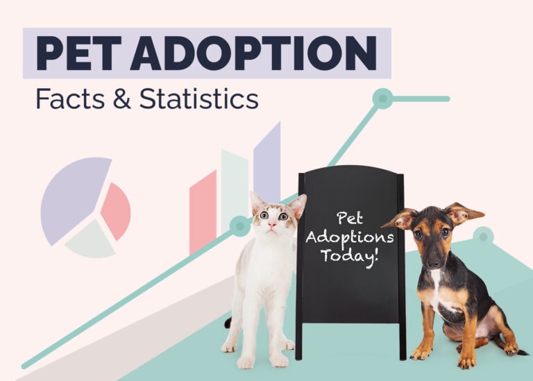 18 Interesting Pet Adoption Statistics & Facts to Know in 2025 | Hepper ...