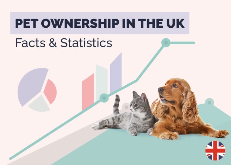 17 UK Dog Statistics & Facts to Know: 2025 Update | Hepper Pet Resources
