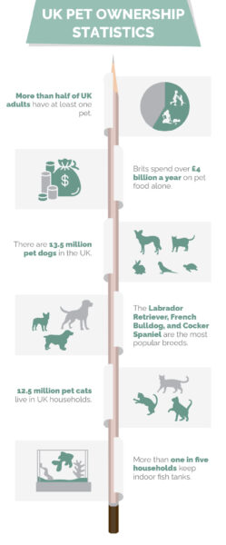 20 UK Pet Ownership Statistics & Facts to Know (2026 Update) | Hepper ...
