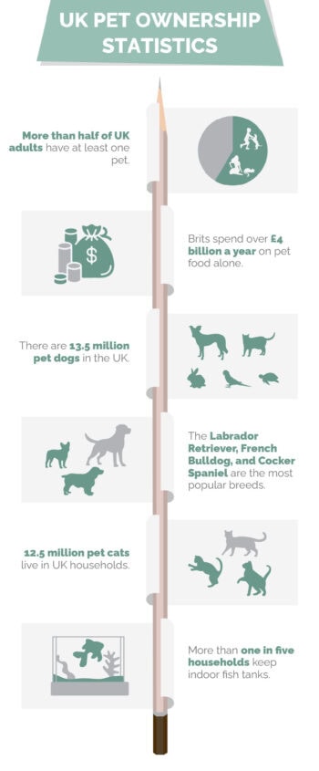 20 UK Pet Ownership Statistics & Facts to Know (2025 Update) | Hepper ...
