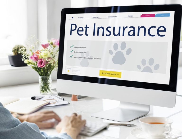 How Much Does Nationwide Pet Insurance Cost? 2026 Update | Hepper Pet ...