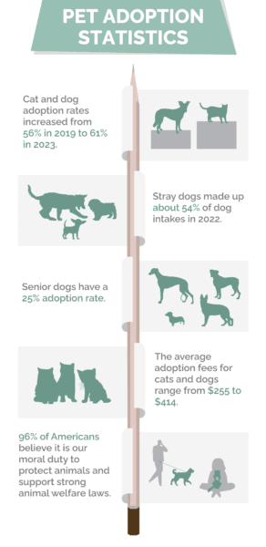 18 Interesting Pet Adoption Statistics & Facts to Know in 2025 | Hepper ...