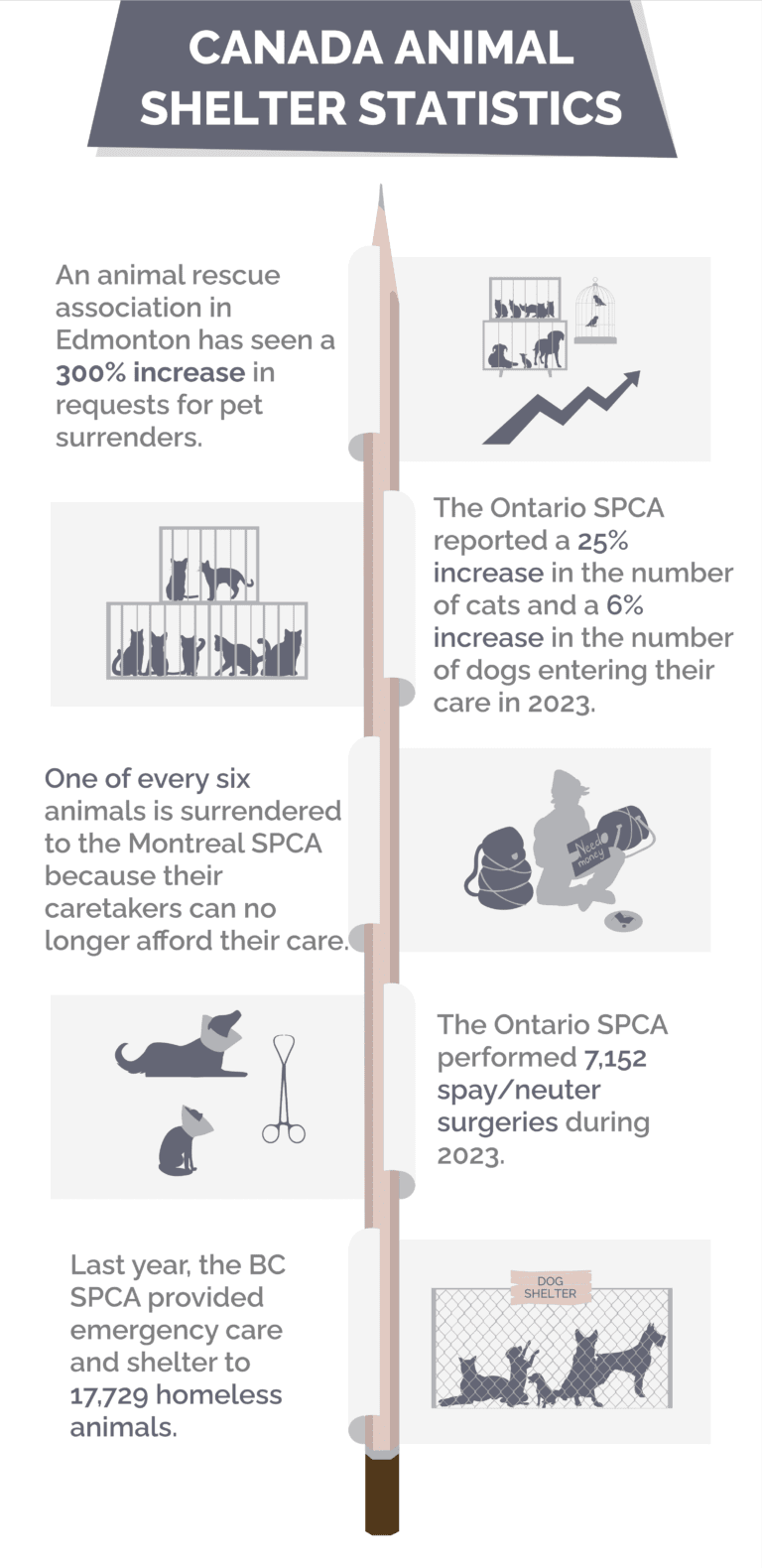 17 Animal Shelter Statistics in Canada: Facts to Know in 2025 | Hepper ...