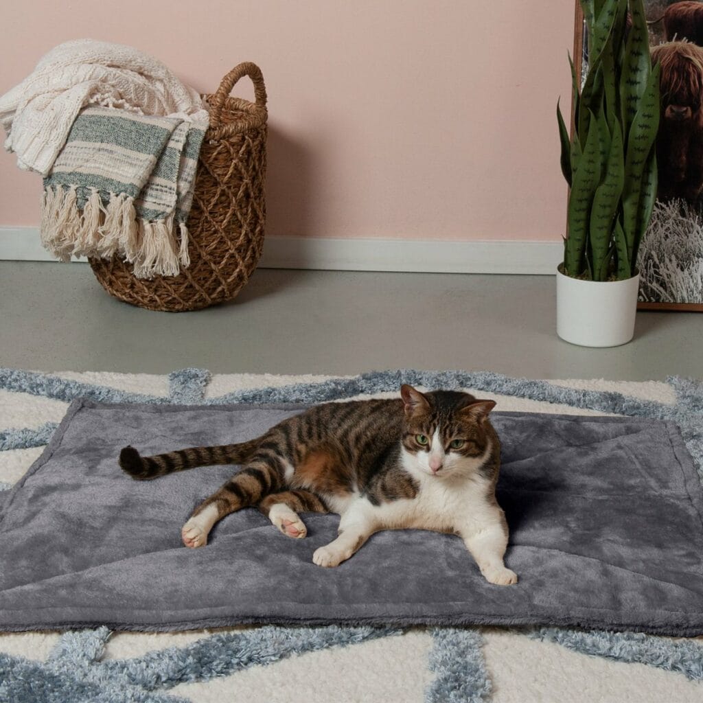 9 Best Outdoor Heating Pads for Cats - 2026 Reviews & Top Picks ...
