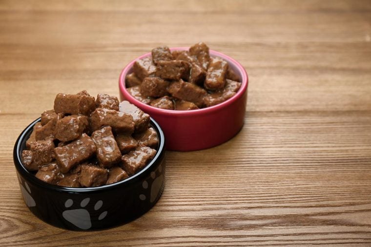 10 Best Wet Dog Foods - 2026 Reviews & Top Picks | Hepper Pet Resources