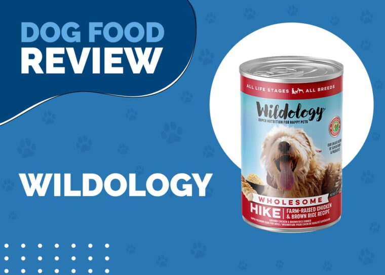 Wildology Dog Food Review 2026: Recalls, Pros & Cons | Hepper Pet Resources