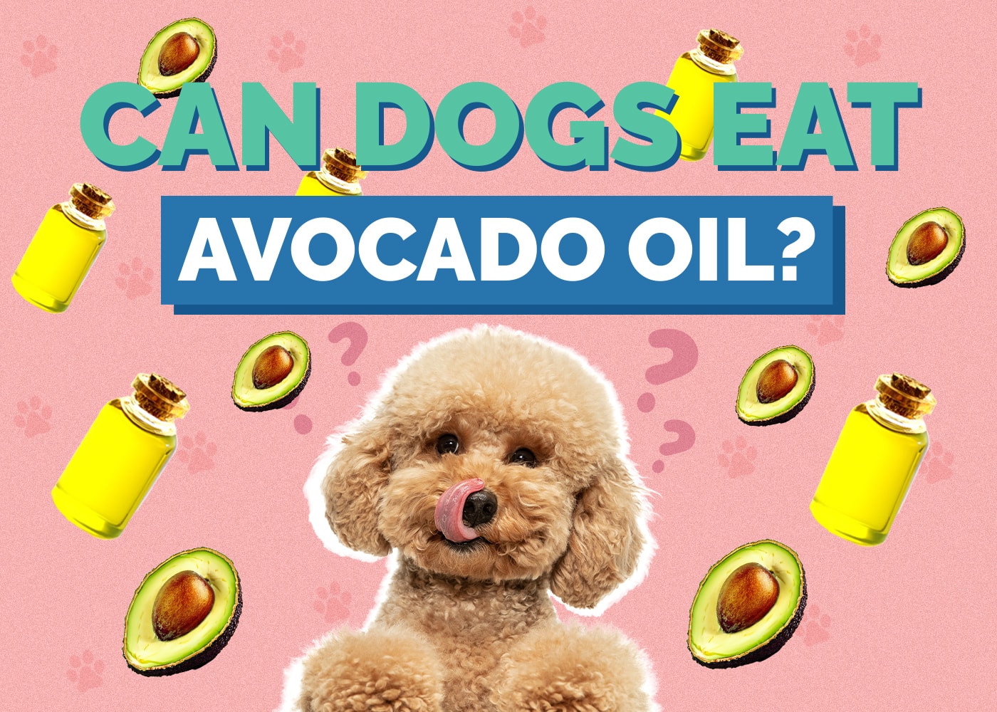 Can Dogs Eat Avocados? Are Avocados Safe for Dogs? Vet-Reviewed Facts ...
