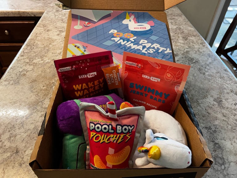 What Comes in a BarkBox: 7 Common Items | Hepper Pet Resources