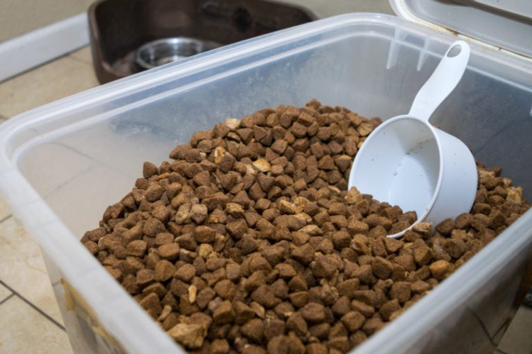 How to Measure Dog Food Portions Accurately: Vet-Approved Dog Feeding ...