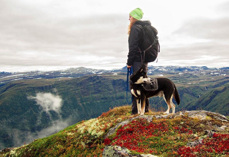 Trail Etiquette for Hiking with Dogs: 10 Rules for a Well-Behaved Pet ...