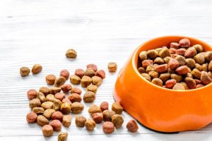 What Is Kibble Dog Food & Why Is It Called That? Interesting Facts to ...