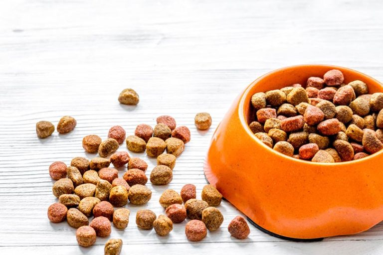 What Is Kibble Dog Food & Why Is It Called That? Interesting Facts to ...