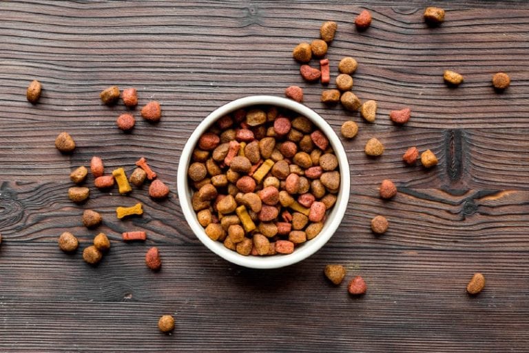What Is Kibble Dog Food & Why Is It Called That? Interesting Facts to ...