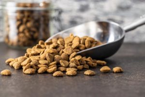 What Is Kibble Dog Food & Why Is It Called That? Interesting Facts to ...