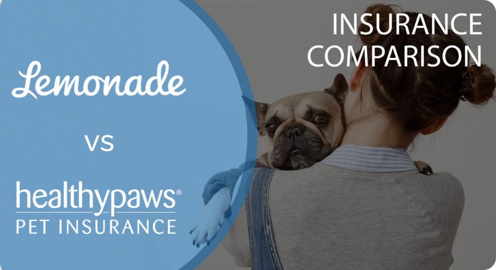 Lemonade vs. Healthy Paws Pet Insurance Comparison 2026: Which is Best ...