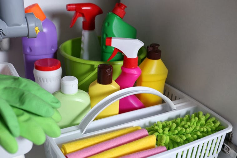 Cleaning Products That Are Safe for Cats: 7 Vet-Approved Household ...