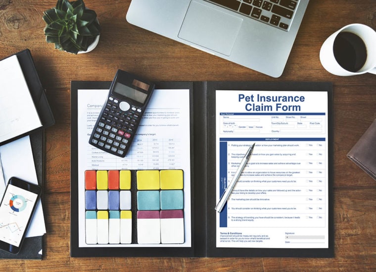 Does Renters Insurance Cover Pets? Costs & 2026 Update | Hepper Pet ...