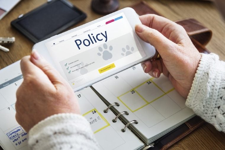 10 Best Pet Dental Insurance Providers - 2025 Reviews & Top Picks ...