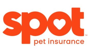 10 Best Pet Insurance Providers in Virginia - 2025 Reviews | Hepper Pet ...