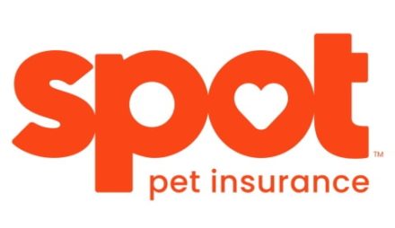 10 Best Pet Insurance Providers in Virginia - 2025 Reviews | Hepper Pet ...