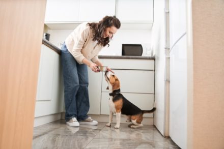 How to Correct Food Aggression in Dogs: 9 Vet-Approved Tips | Hepper ...