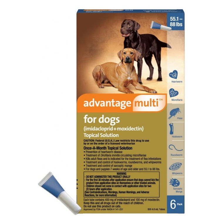 10 Best Flea Treatments for Dogs – 2026 Reviews & Top Picks | Hepper ...