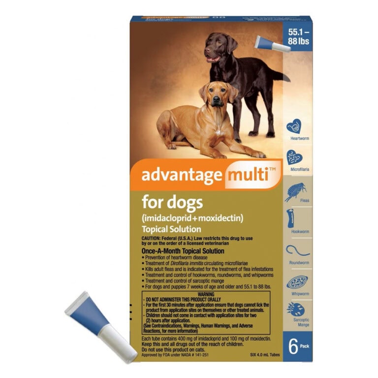 10 Best Flea Treatments for Dogs – 2026 Reviews & Top Picks | Hepper ...