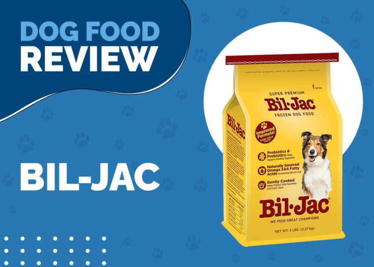 Bil-Jac Dog Food Review 2025: Recalls, Pros & Cons | Hepper Pet Resources
