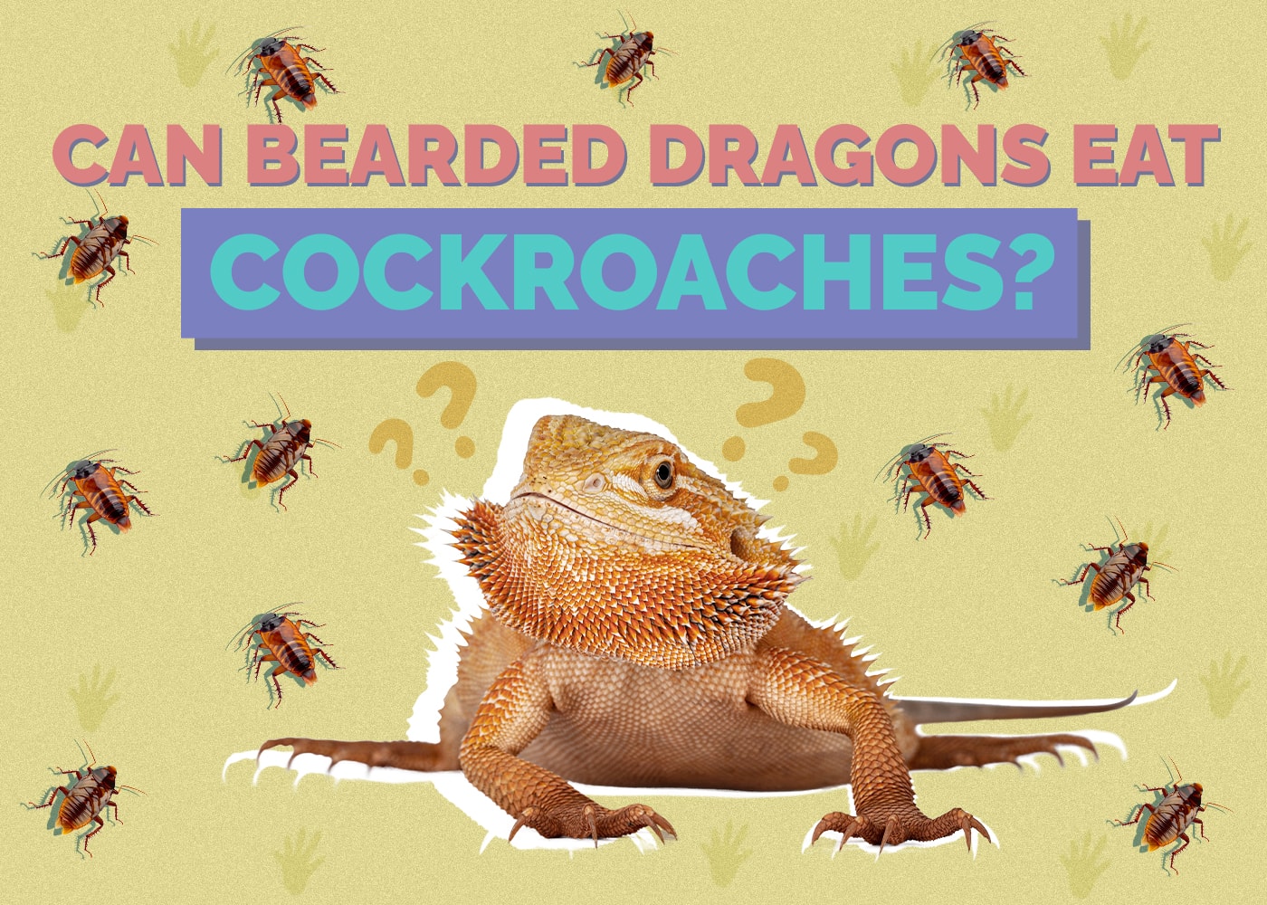 Can Bearded Dragons Eat Cockroaches? Vet Approved Facts & Safety Guide ...