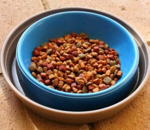 5 DIY Ant-Proof Cat Bowls You Can Make Today (With Pictures) | Hepper ...