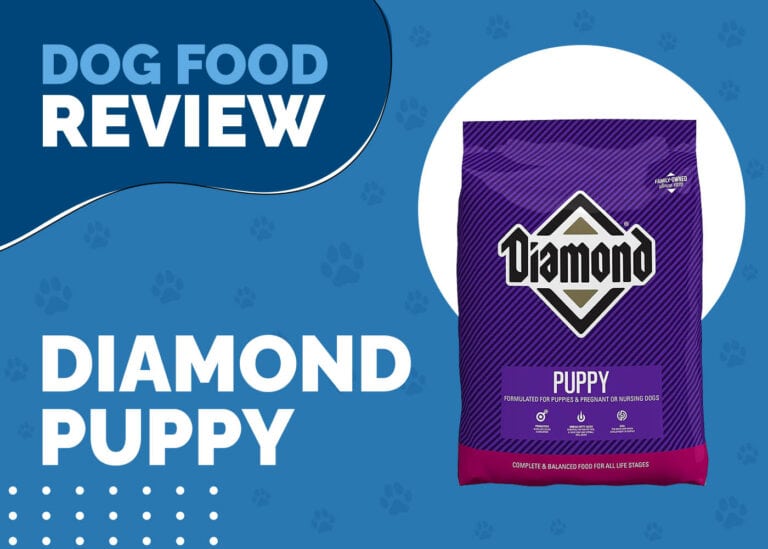 Diamond Puppy Formula Dog Food Review 2026: Recalls, Pros & Cons ...