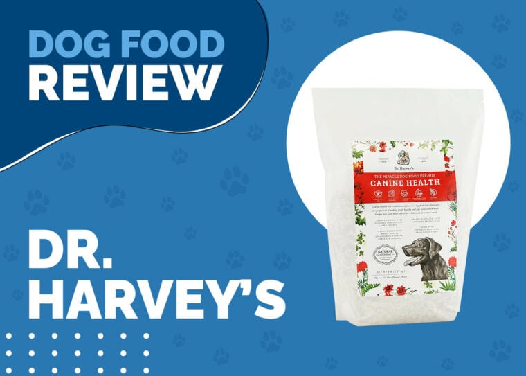 Dr. Harvey’s Dog Food Review 2026: Recalls, Pros & Cons | Hepper Pet Resources