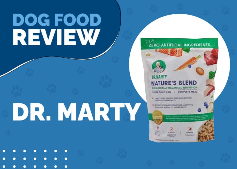 Dr. Marty Dog Food Review 2026: Recalls, Pros & Cons | Hepper Pet Resources