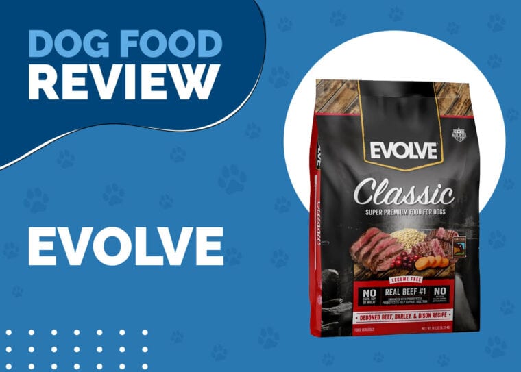 Evolve Dog Food Review 2025: Recalls, Pros & Cons | Hepper Pet Resources