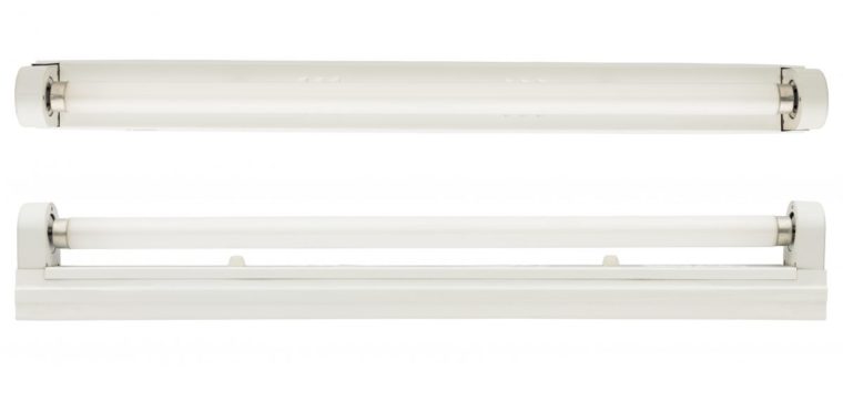 Is Loud Music Bad for Cats? Vet-Approved Facts & Care Guide | Hepper ...