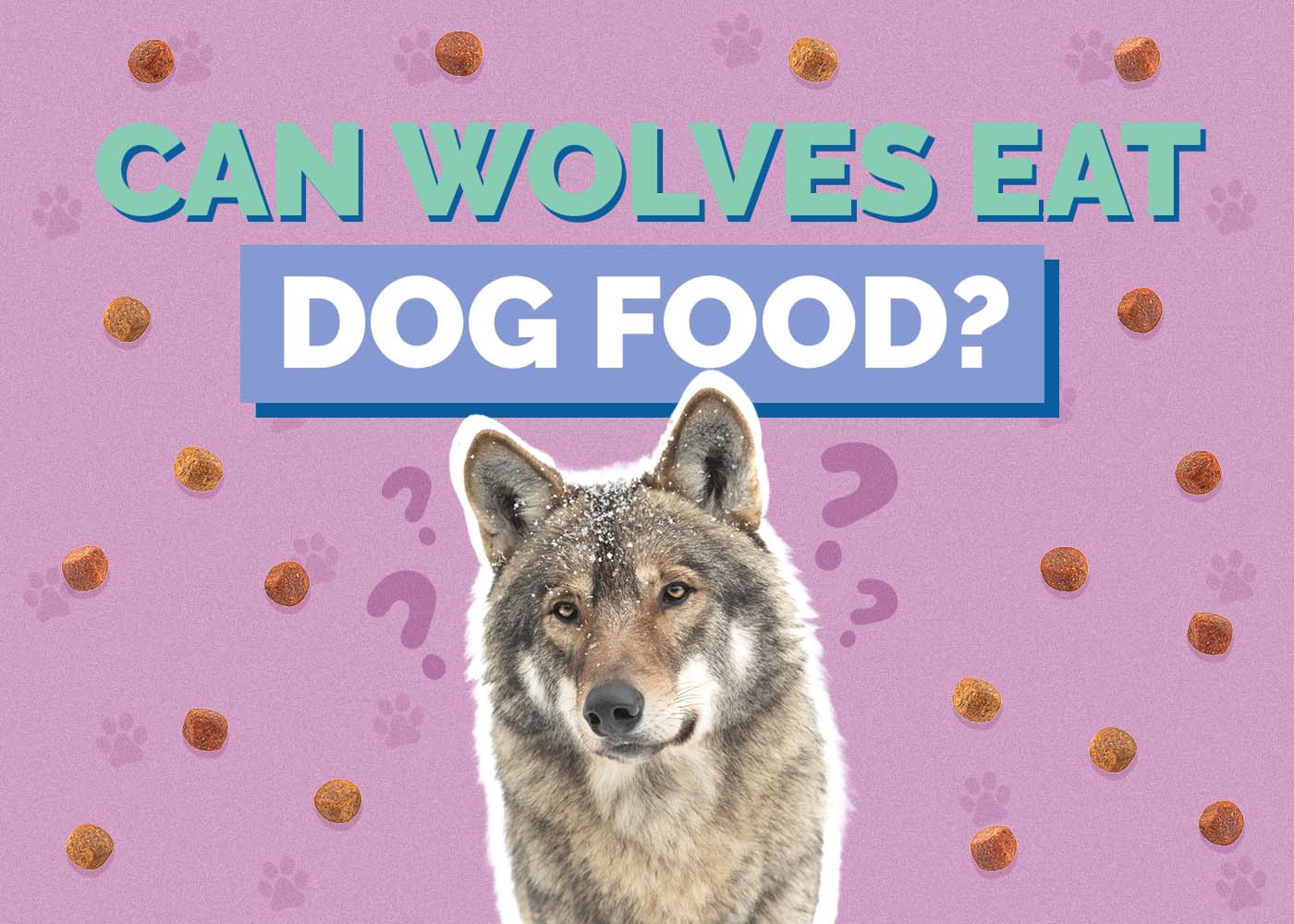 Do Wolves Attack Dogs? Tips on How To Protect Your Pet | Hepper Pet ...