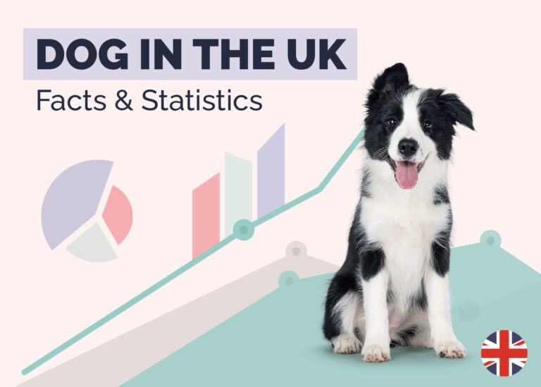 13 Incredible UK Service Dog Statistics & Facts: Updated in 2026 ...