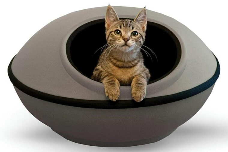 9 Best Cat Beds at PetSmart - 2025 Reviews & Top Picks | Hepper Pet ...