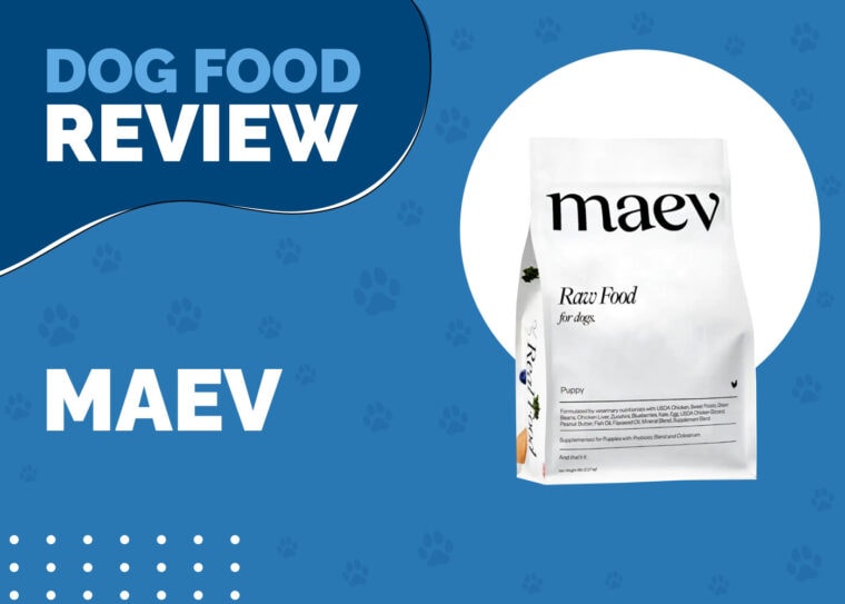 Maev Dog Food Review 2025: Recalls, Pros & Cons | Hepper Pet Resources