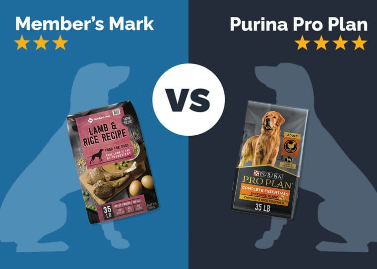 Member’s Mark vs Purina Pro Plan Dog Food: 2025 Comparison | Hepper Pet ...
