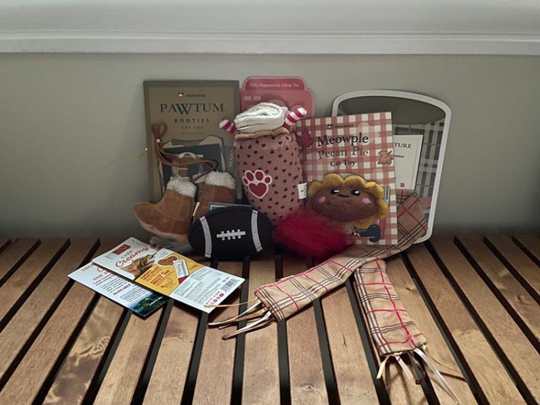 meowbox Subscription Review 2026: An Expert Guide | Hepper Pet Resources