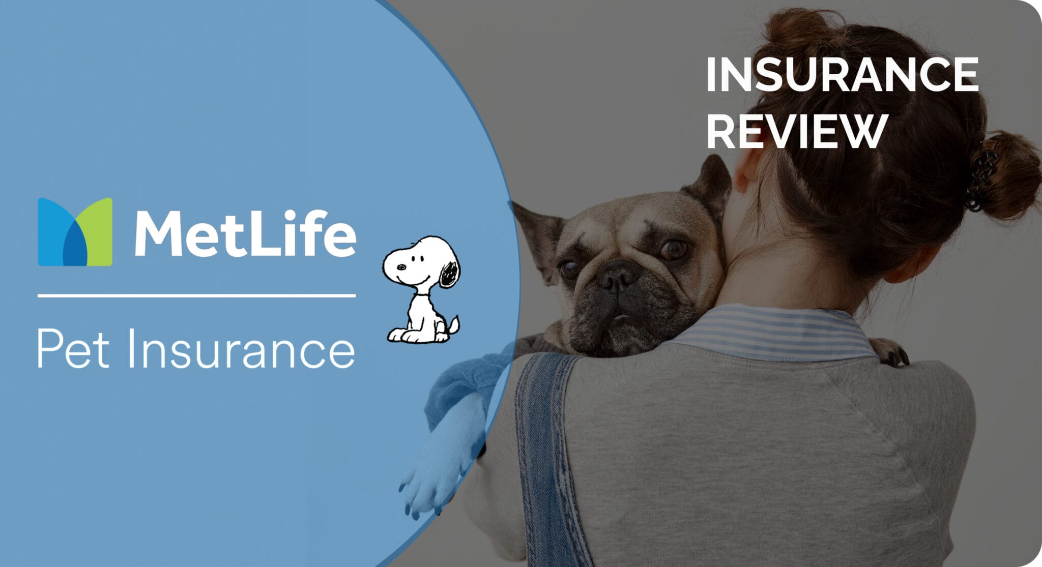 10 Best Pet Insurance Providers in Australia – 2025 Reviews | Hepper Pet Resources