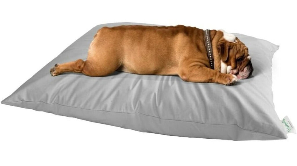 10 Best Eco-Friendly Dog Beds - 2025 Reviews & Top Picks | Hepper Pet ...