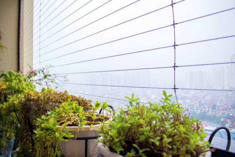 How to Dog Proof Balcony Railings — 8 Great Ways | Hepper Pet Resources