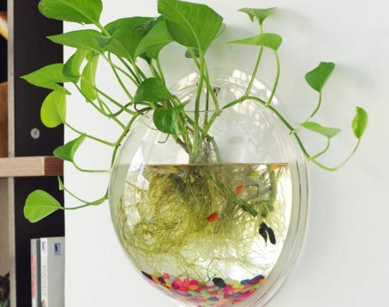 6 Best Wall Mounted Aquariums in 2026 - Reviews & Top Picks | Hepper ...