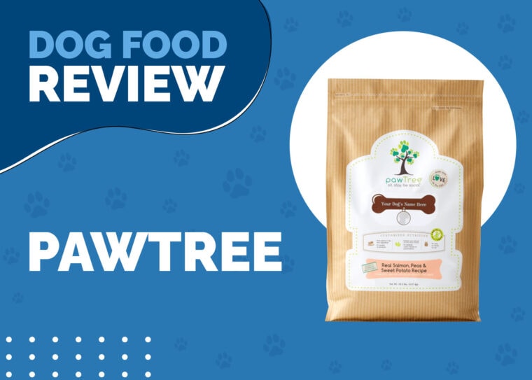 pawTree Dog Food Review 2026: Recalls, Pros & Cons | Hepper Pet Resources