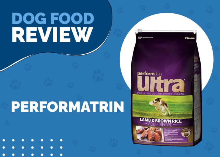 Performatrin Dog Food Review 2026: Recalls, Pros & Cons | Hepper Pet ...